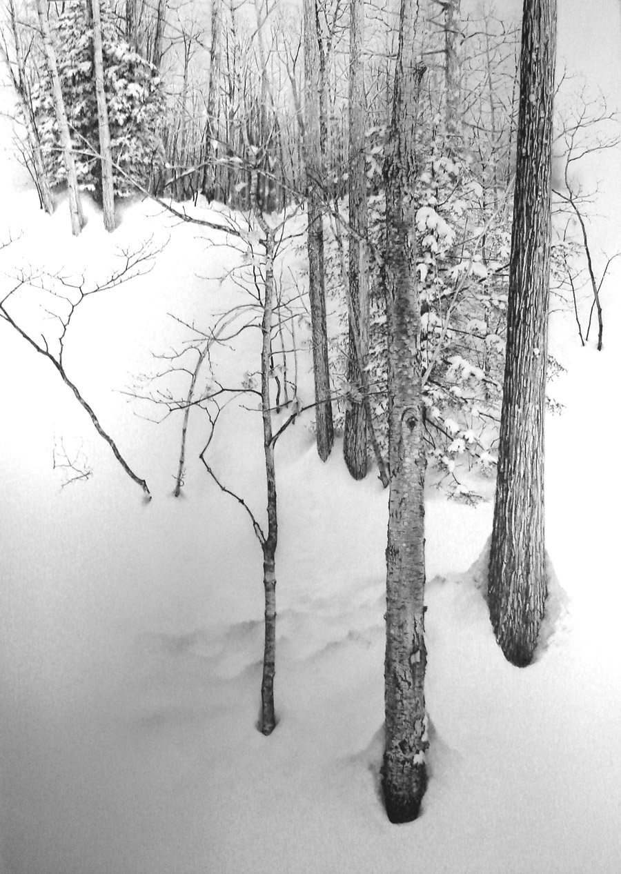 Drawings • Stephanie AndersonStephanie Anderson