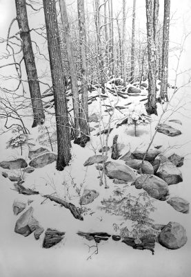 Drawings • Stephanie AndersonStephanie Anderson