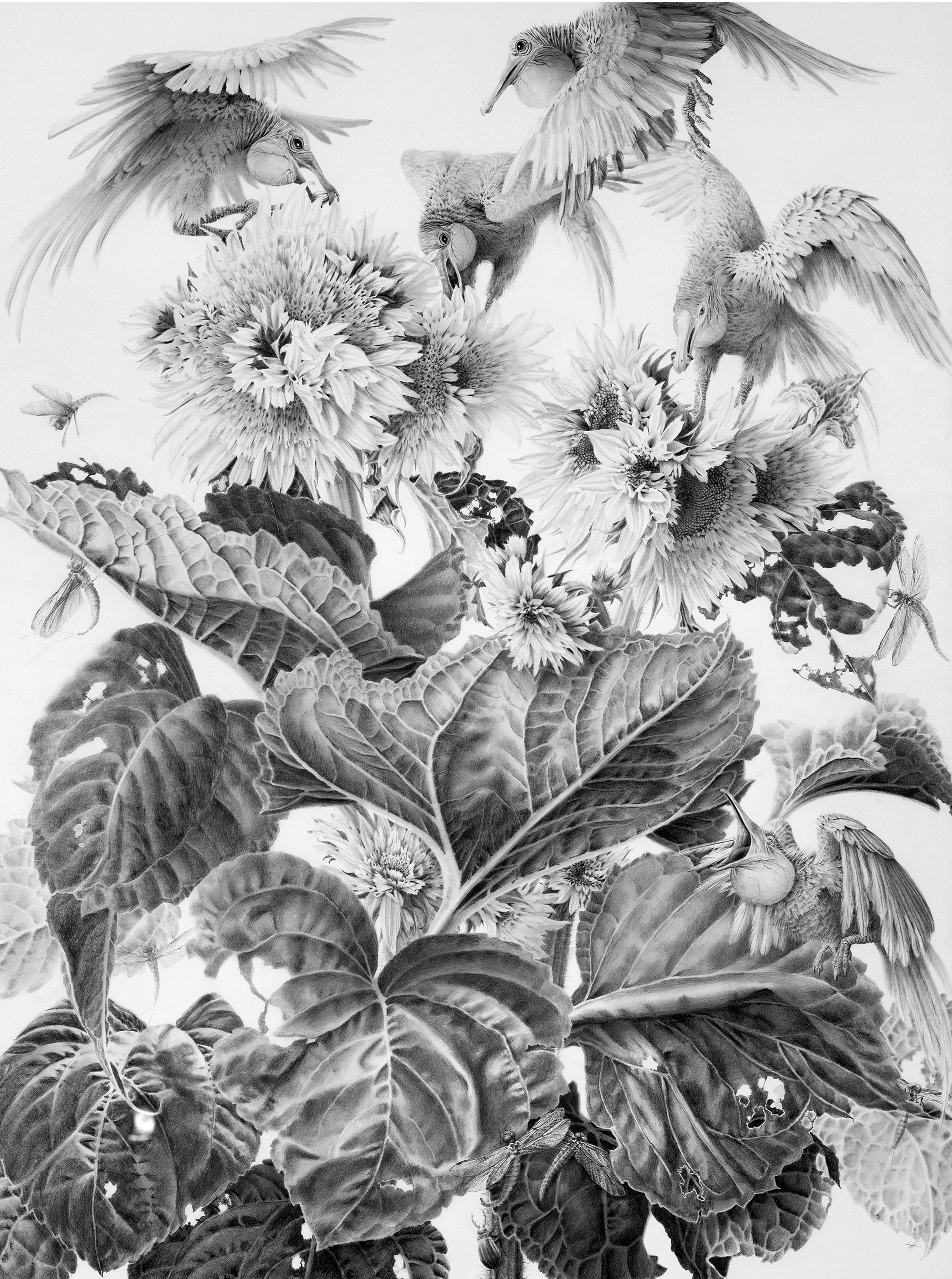 Creatures • Stephanie AndersonStephanie Anderson